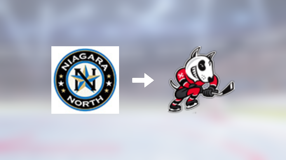 Niagara IceDogs recruit forward Andrew Vermeulen from Niagara North ...