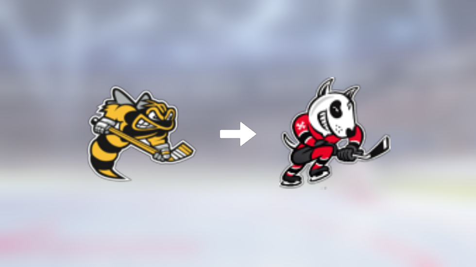 Nolan Dann now set to play for Niagara IceDogs